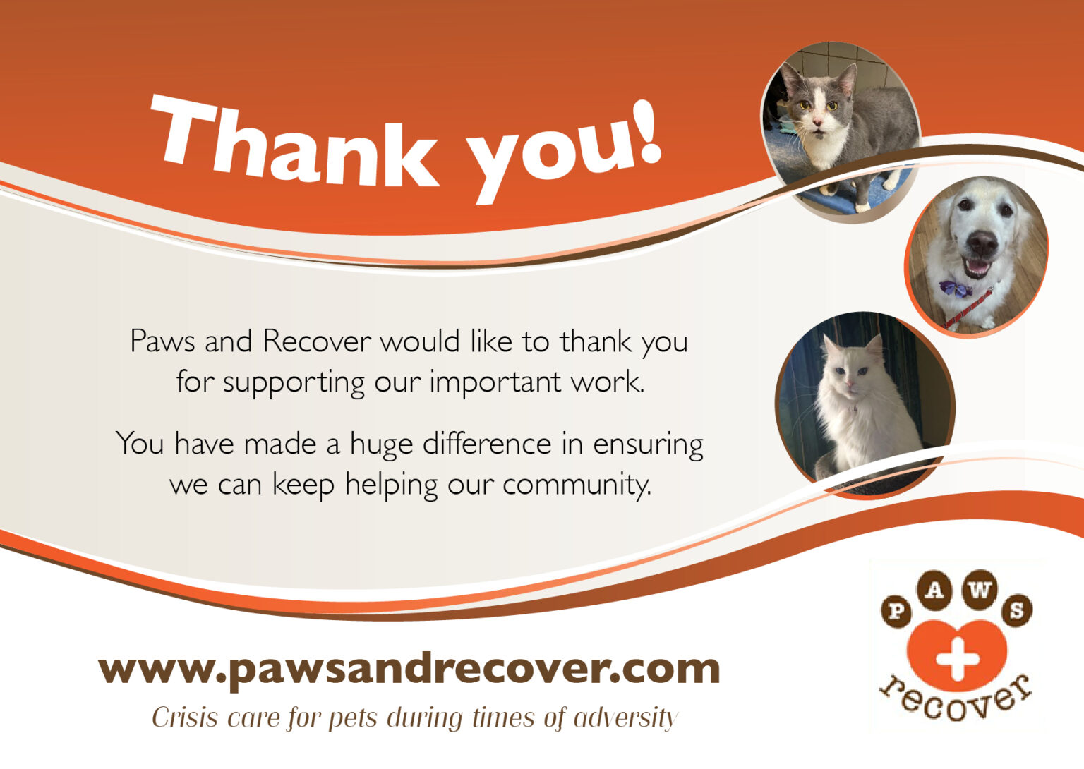 Paws and Recover